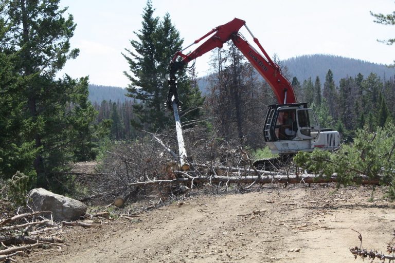 After Storm Tree Removal Cost